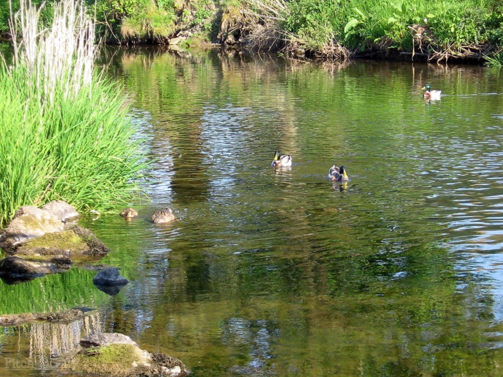 Parc Farm Caravan Park, Oswestry, Inland North Wales. Quiet family ...